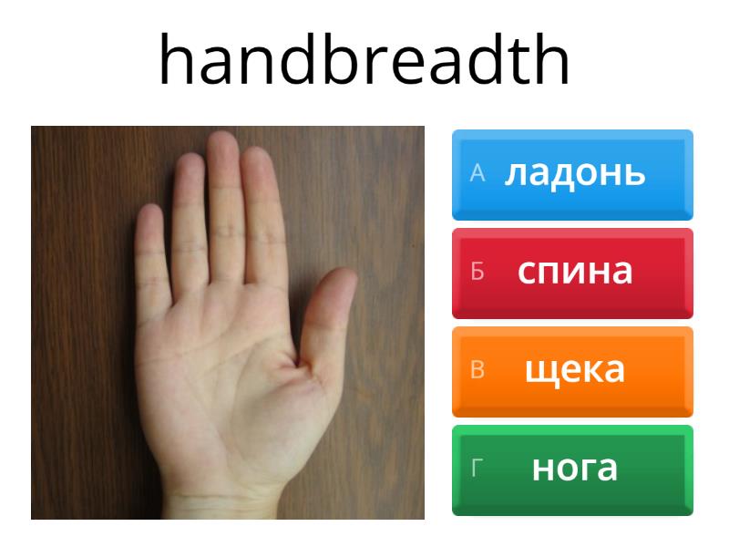 Части тела - Quiz