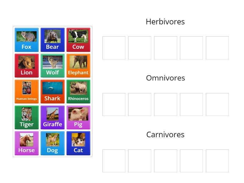 Herbivores, Omnivores, and Carnivores - Group sort