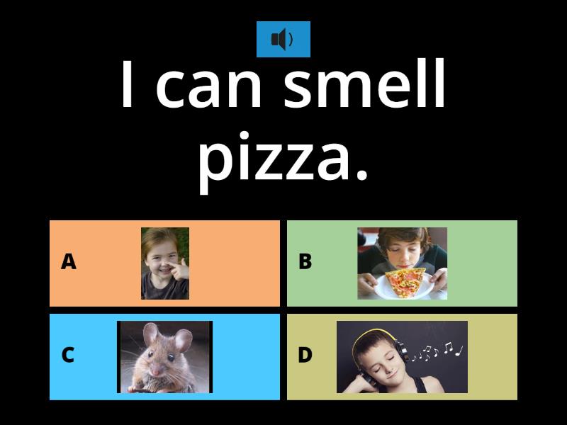 the five senses - Quiz