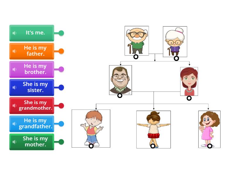 Family_ - Labelled diagram