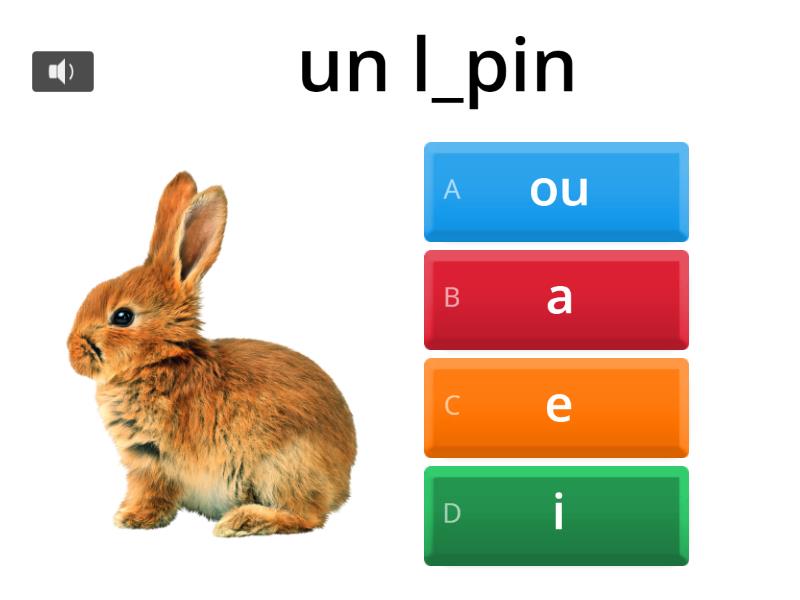 French foundations: find the vowel sound (a,e,i,o,u + ou) - اختبار تنافسي