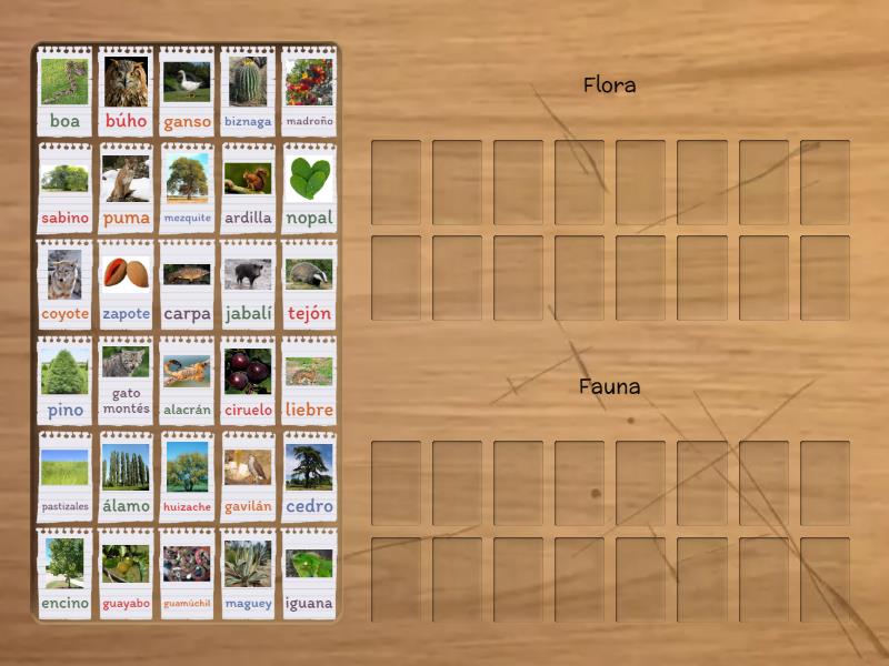 Flora y fauna de Durango - Ordenar por grupo