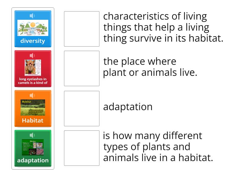 Habitats, adaptation, and diversity Gr.2 - Une las parejas