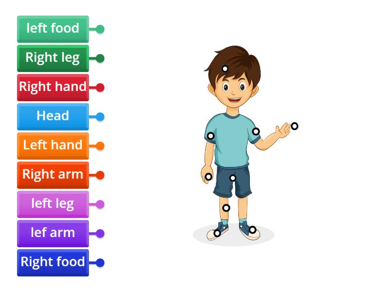 label the body parts - Labelled diagram