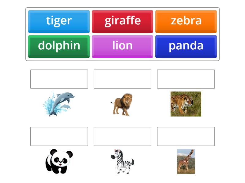 REVIEW LESSON 2 UNIT 1:ANIMALS - Match up