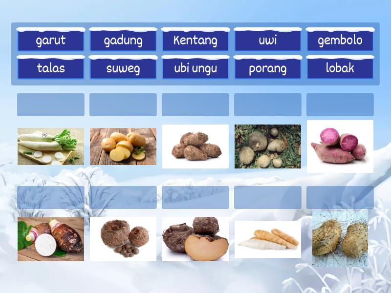 jenis jenis umbi - Match up