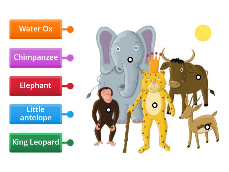 Animals in the story. - Labelled diagram