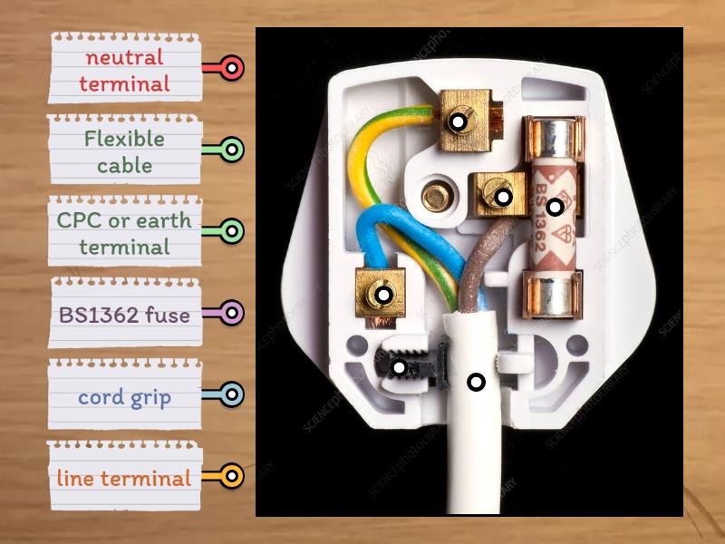 Identifying plug components - Labelled diagram