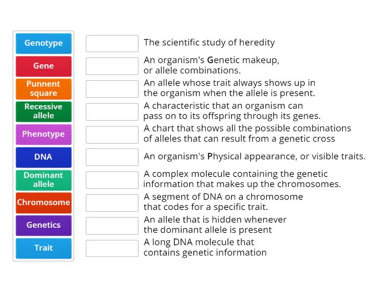 Genetics terms 1 - Match up