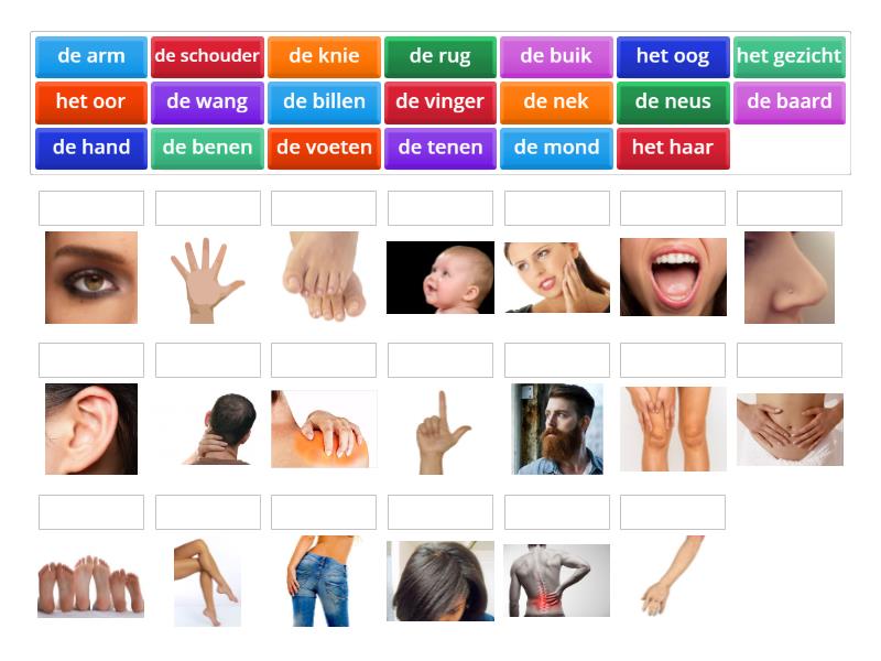 TC A1 thema 5 - Het lichaam - verbinden - Match up