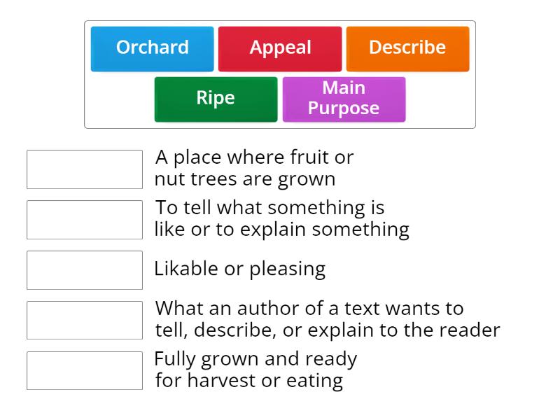 Author's Purpose Vocabulary - Match up