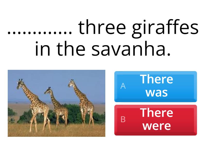 There was/were - Quiz