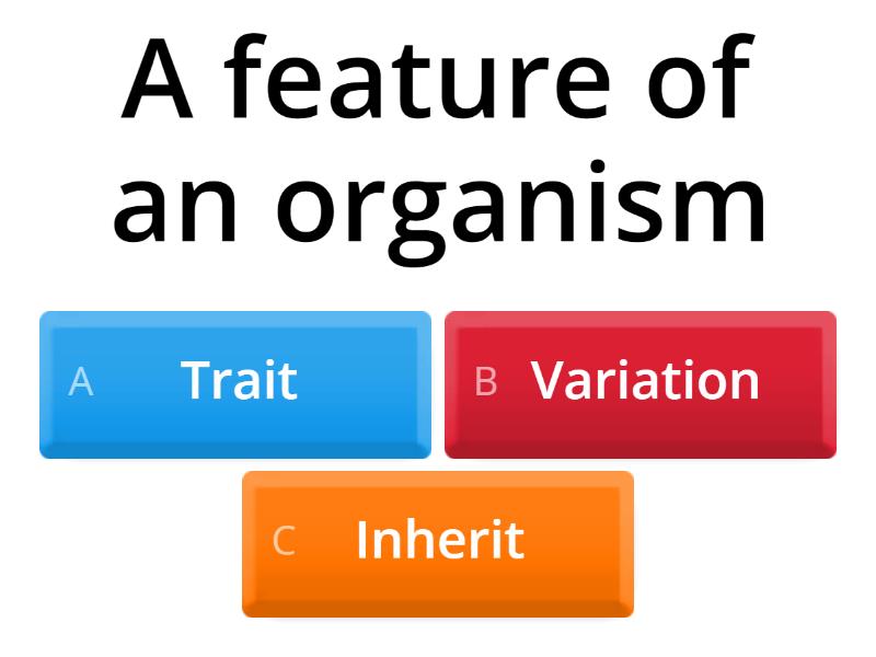 Lesson 2 Inherited traits - Quiz