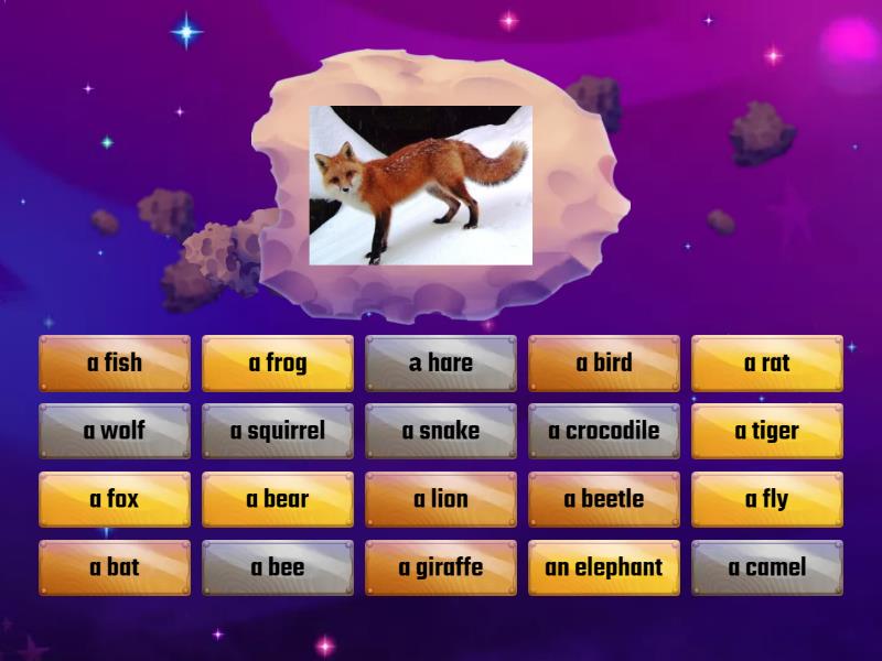 Wild animal (find the right match) - Find the match