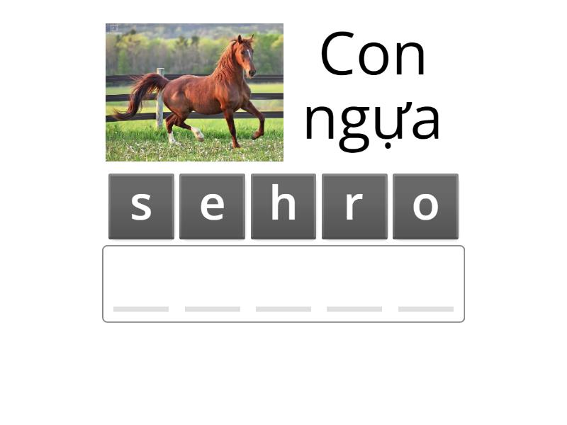 Animal - Anagram