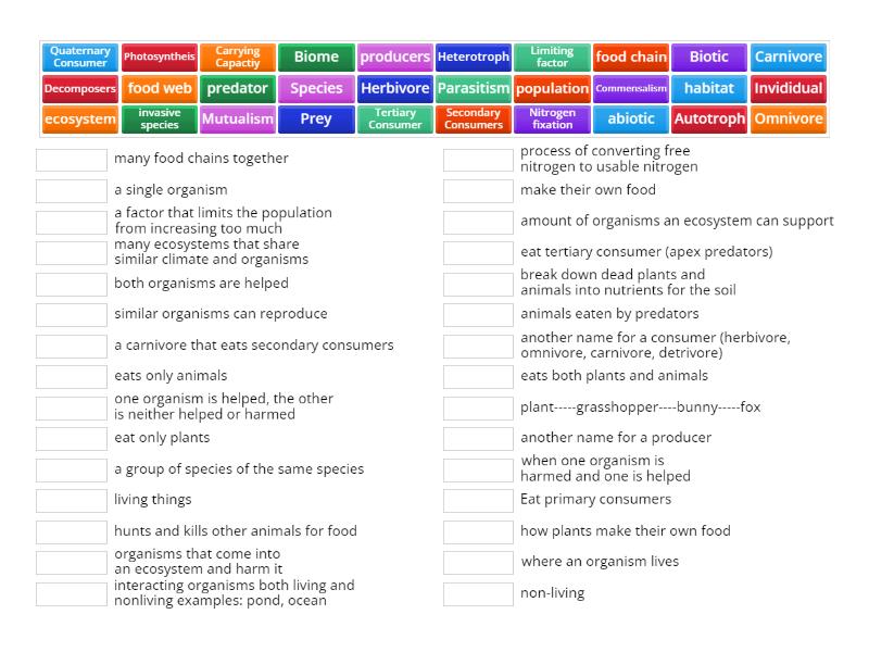Ecosystem Vocabulary Review - Match up