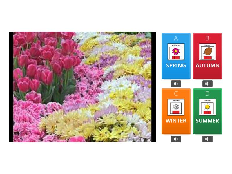 THE SEASONS OF THE YEAR - Quiz