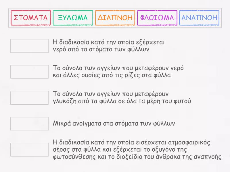 ΑΙΜΟΦΟΡΑ ΑΓΓΕΙΑ - Match up