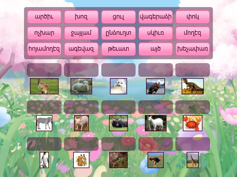 Animals_Armenian_by Elza - Match up
