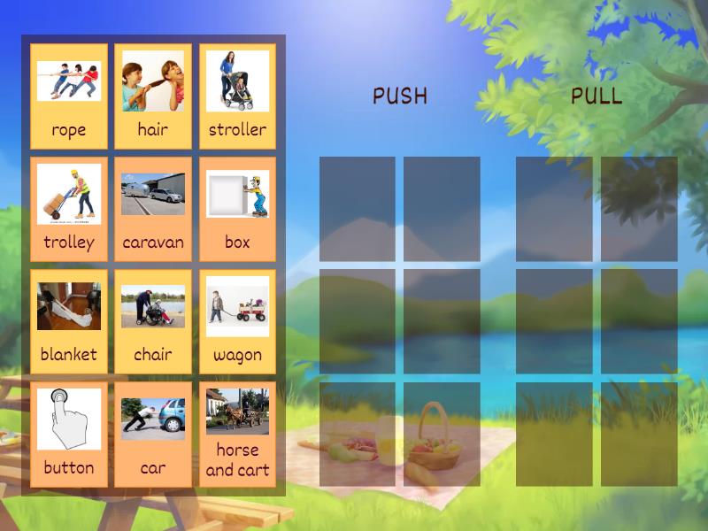 FORCES: Push and Pull - Group sort