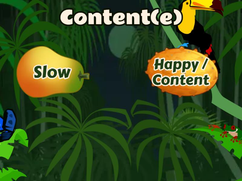 Speed quizz adjectives - Flying fruit