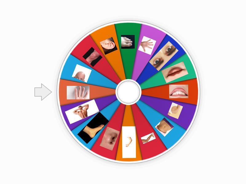 K7SD Body parts wheel - Spin the wheel