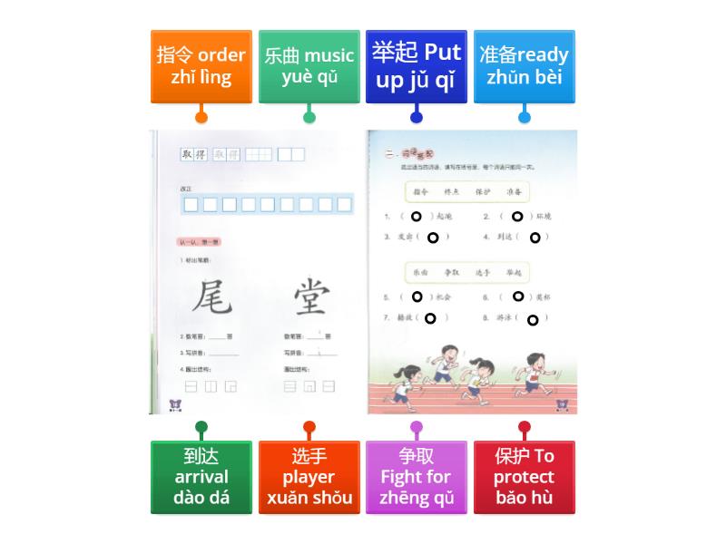 4B lesson11 activity book page 19 - Labelled diagram
