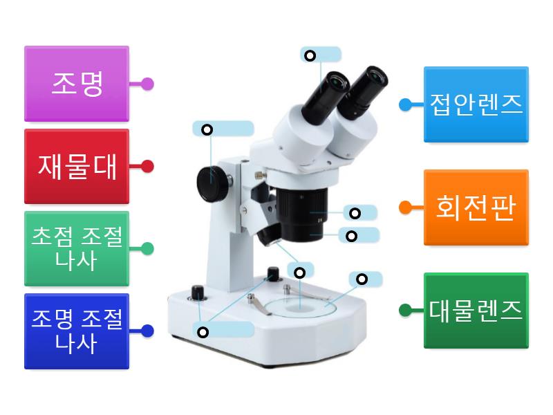 실체현미경 각 부분의 이름 명칭이 있는 다이어그램