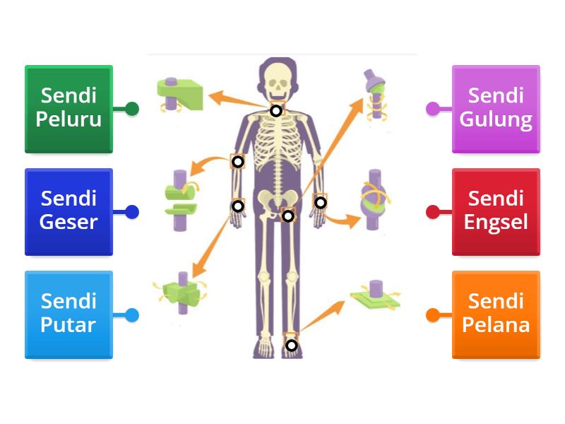 Mengenal Sendi - Labelled diagram
