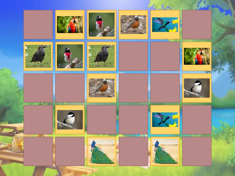 Bird Matching! - Matching pairs