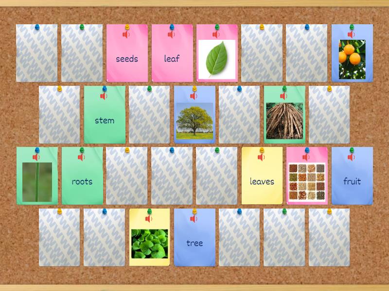 Plants Memory - Matching pairs