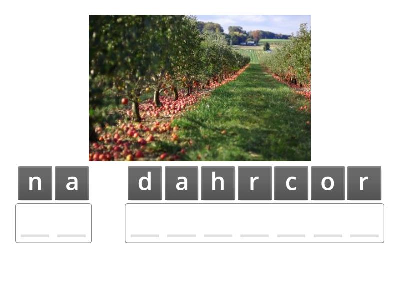 Solutions Pre-Intermediate Unit 5 - Anagram