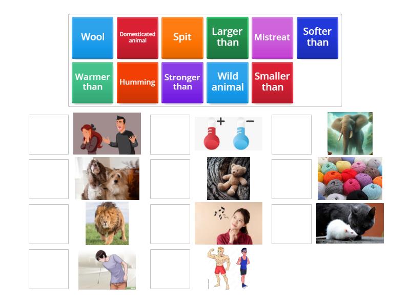 Matching Activity Match Up