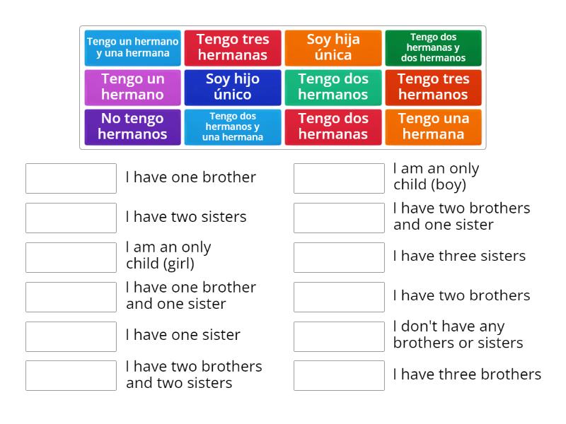 ¿Tienes hermanos? Year 4 - Match up