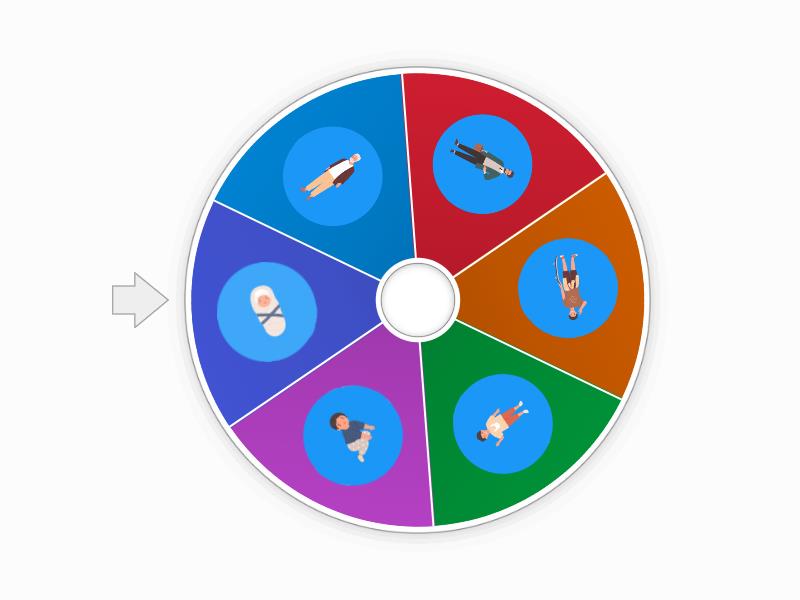 Human life stages - Spin the wheel