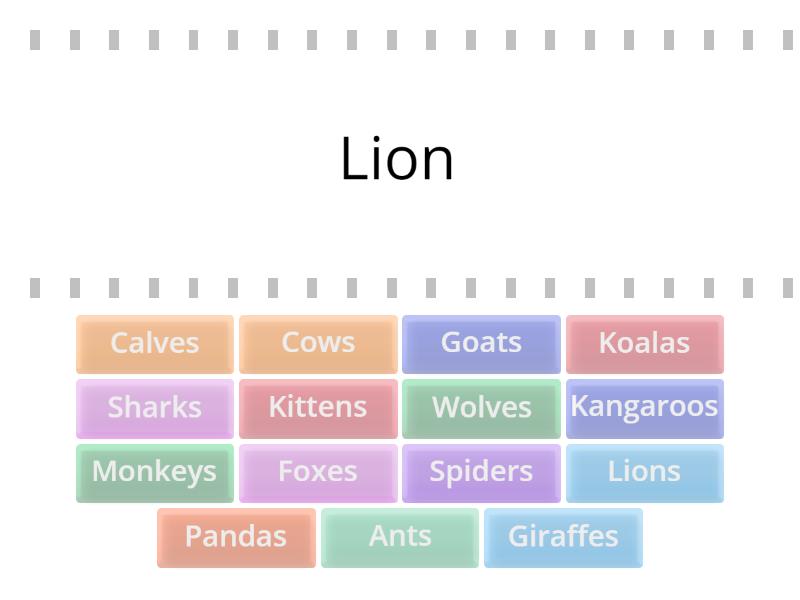 Plural form of the animals - Find the match