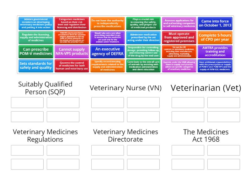 VN04 - Roles and Responsibilities - Group sort