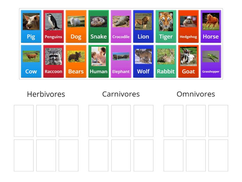 Herbivore, carnivore and omnivore - Group sort