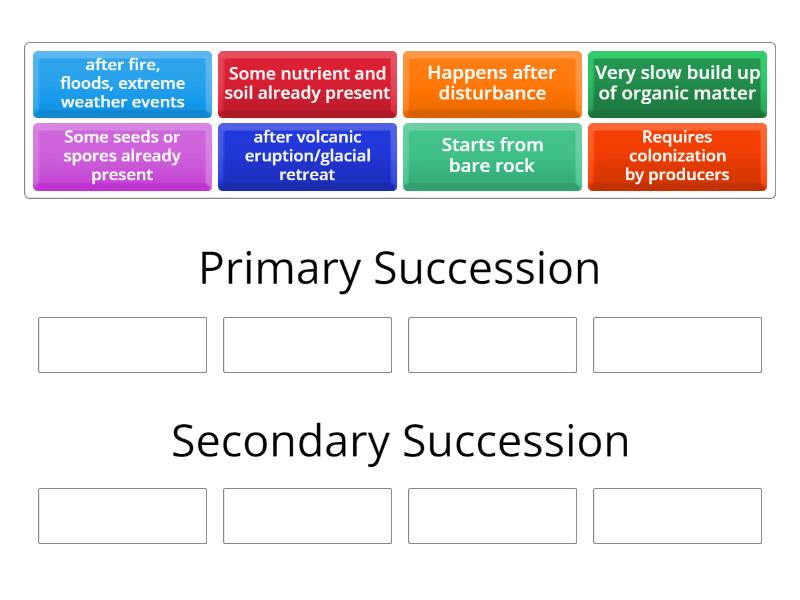 Succession Sort Activity - Group sort
