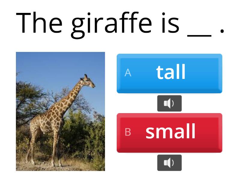 big/small/short/tall/long + animals - Quiz