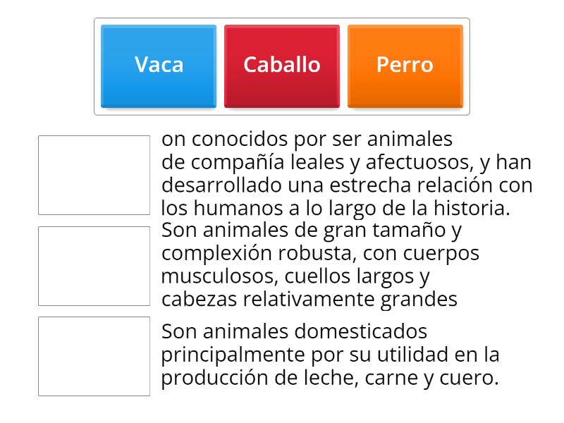 CUAL ANIMAL ES - Match up