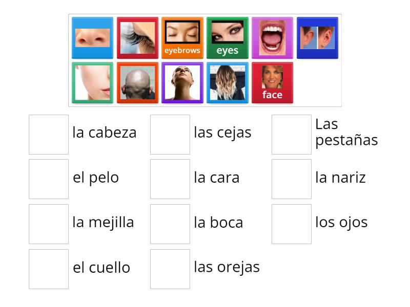 La cara vocabulario - Match up