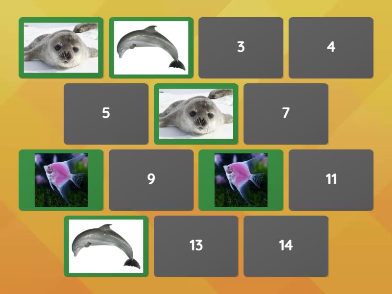 SEA ANIMALS MEMORY GAME - Matching pairs