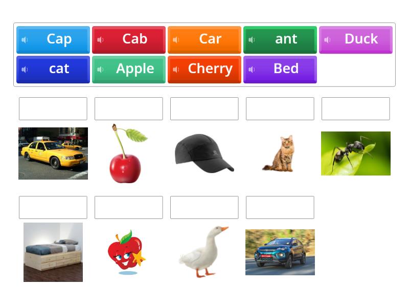 ABCD Review - grade 1 and 2 - Match up