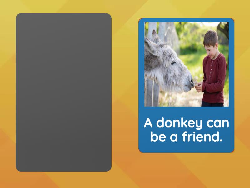 Animal Friends - Speaking cards