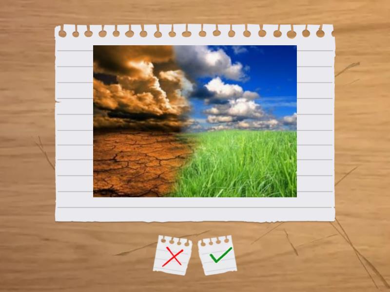 ACTIVITY Vocabulary flashcards unit 4 7th grade - Flash cards