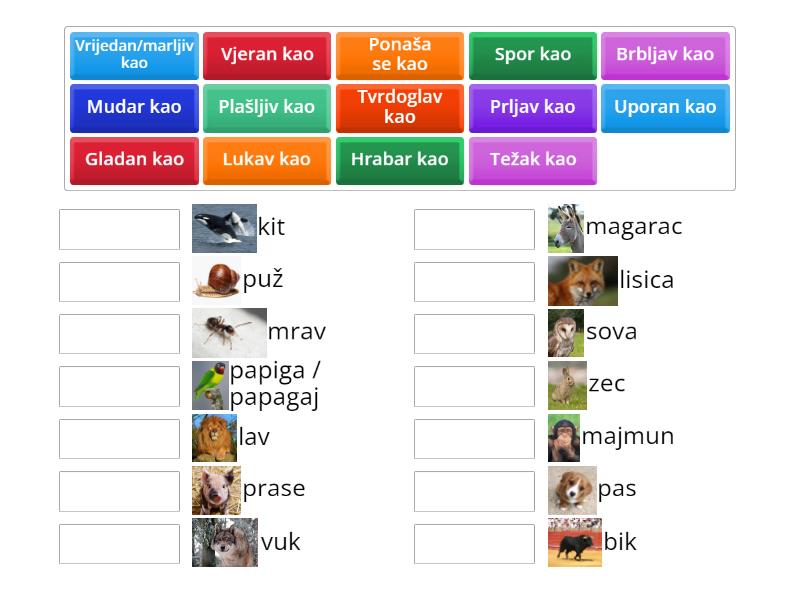 SK 1.3 Frazemi - Match up