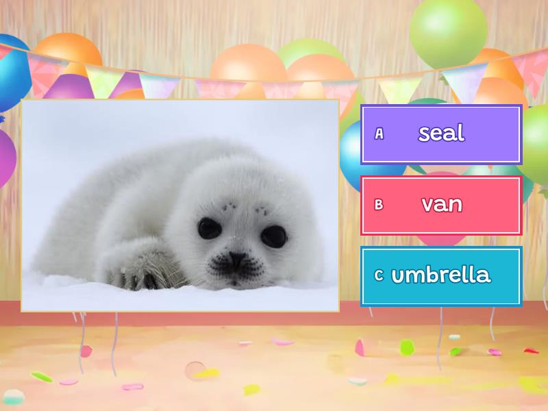 OPW 1 stuv - Quiz