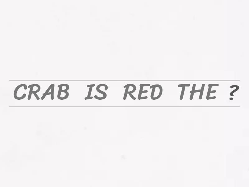 ORDER THE CHECKING QUESTIONS (YES/NO QUESTIONS) - Reordenar
