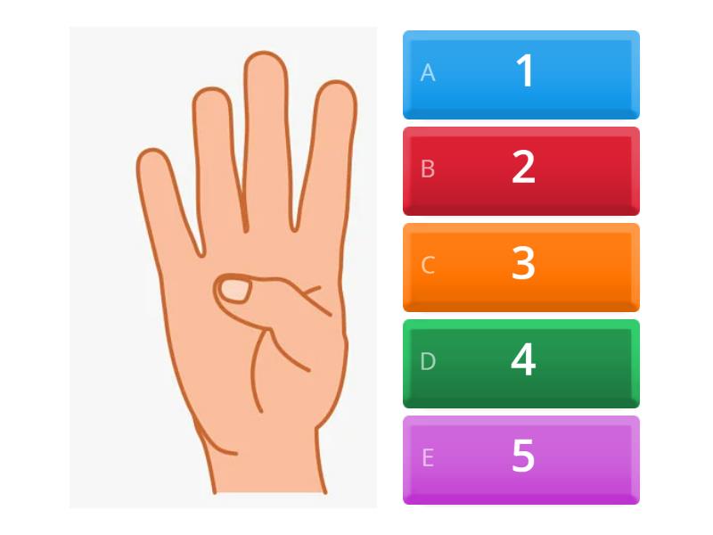 Number Sort 1-5 (hand, tally, domino, numberblock) - Quiz